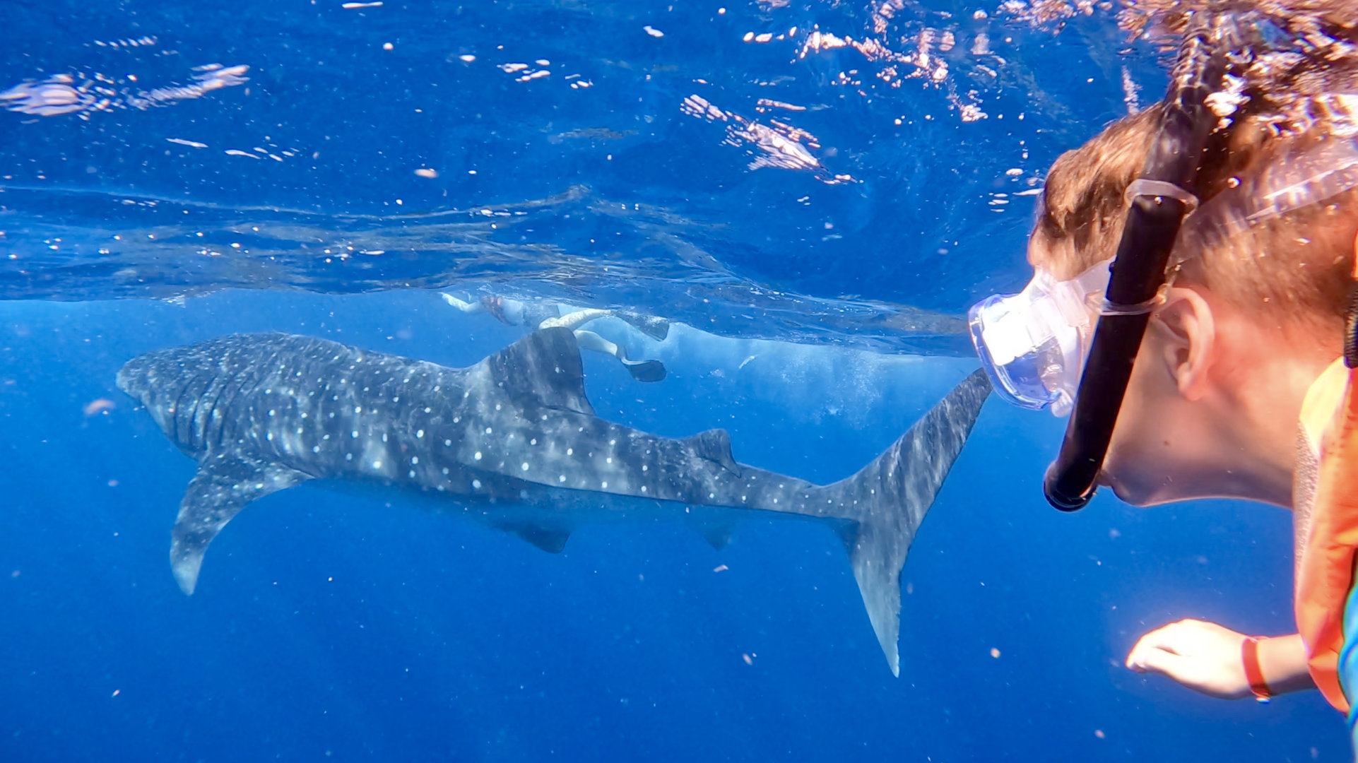 Blake Snow | writer-for-hire, content guy, bestselling author Blake Snow